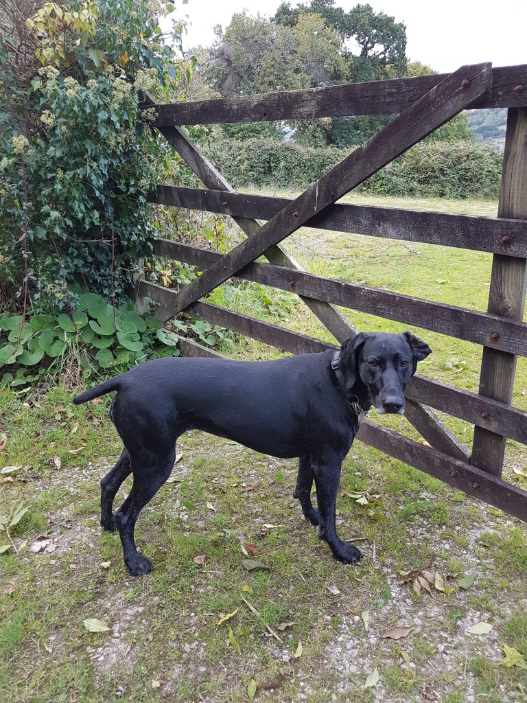 Visiting Rumleigh – Untangled Family History