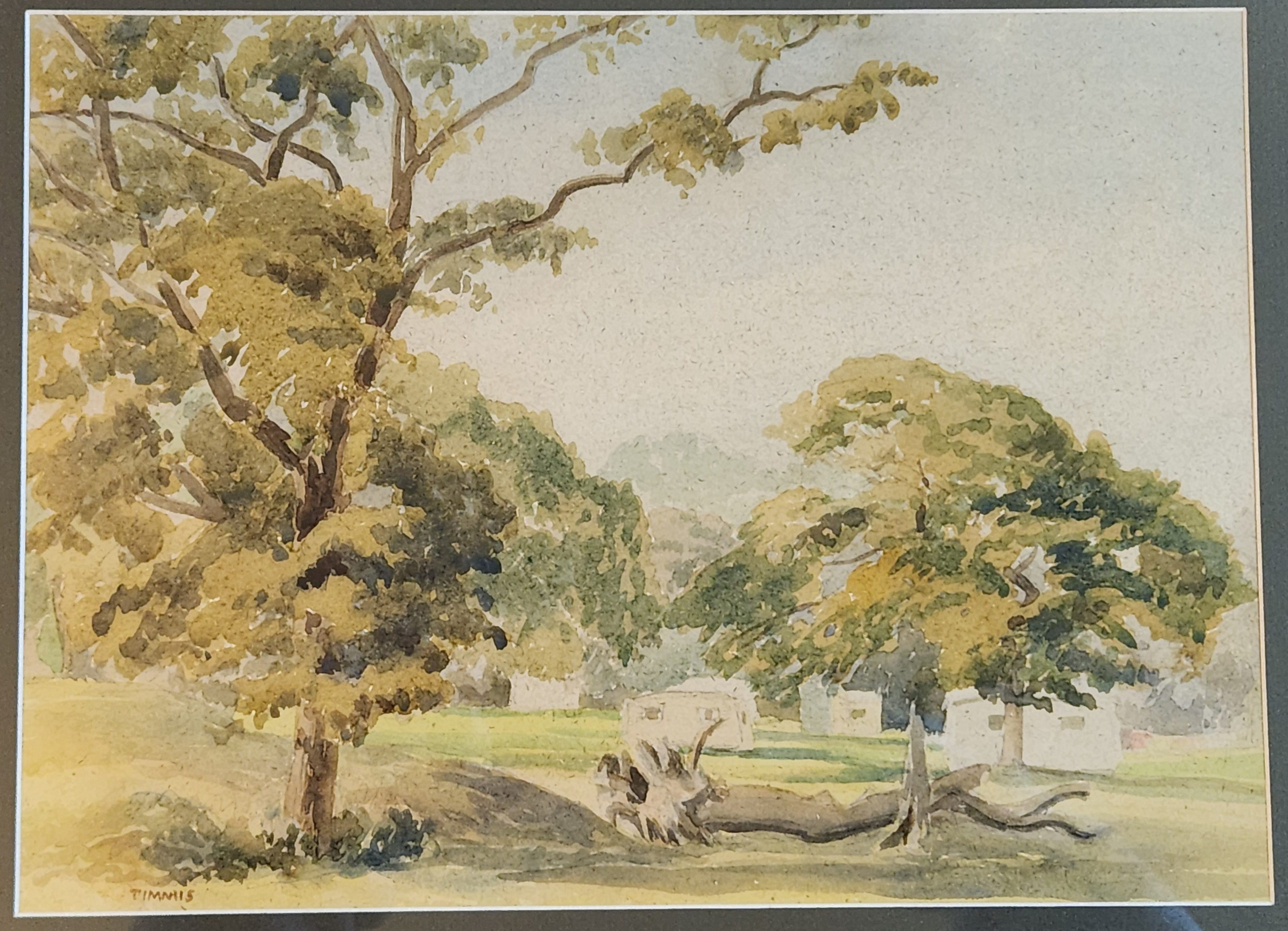 Robert Timmis, artist and art teacher – Untangled Family History