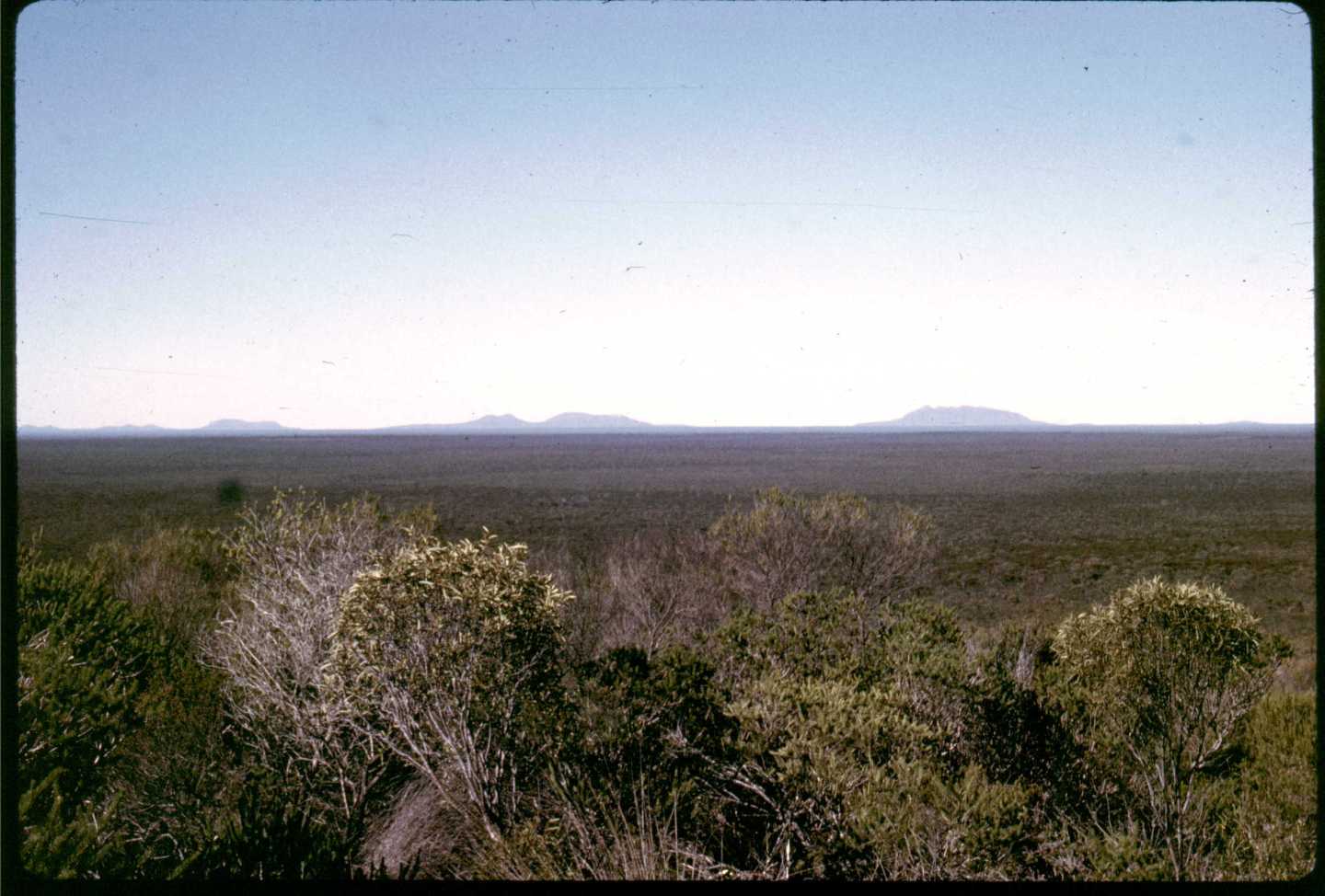 Surveying Australia’s wide open spaces – Untangled Family History